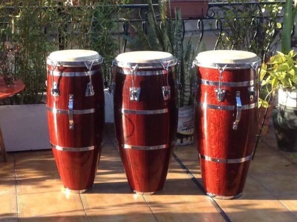The Conga Drum: A Rhythmic Legacy of Culture and Innovation - Manito ...