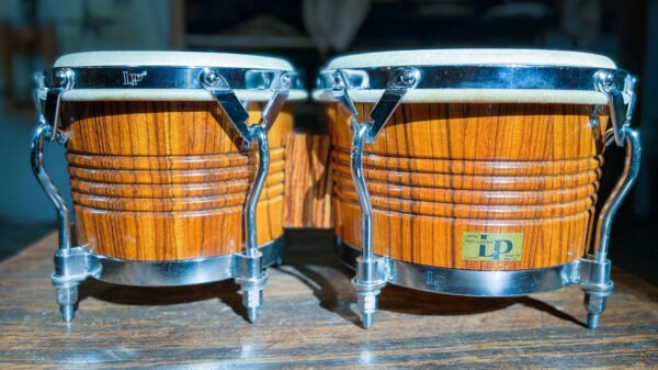 The Origins and Craft of Bongos: A Guide for Students, Musicians and ...
