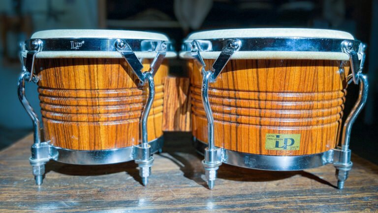 The Origins and Craft of Bongos: A Guide for Students, Musicians and ...