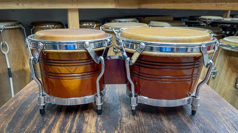 The Origins and Craft of Bongos: A Guide for Students, Musicians and ...