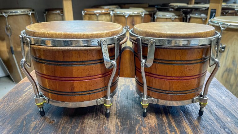 The Origins and Craft of Bongos: A Guide for Students, Musicians and ...