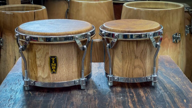 The Origins and Craft of Bongos: A Guide for Students, Musicians and ...