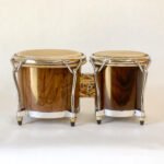 The Origins and Craft of Bongos: A Guide for Students, Musicians and ...